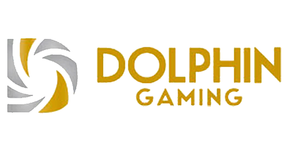 Parasport Ontario - Dolphin Gaming